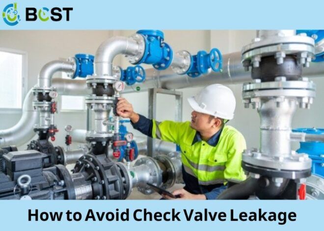 Check Valve Leaks: How to Inspect, Avoid, and Repair - Control valve ...
